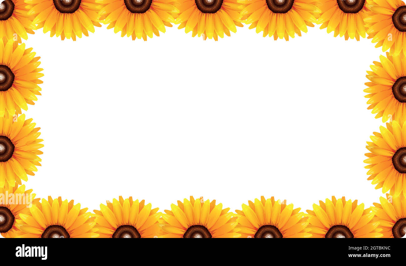 A sunflower border template Stock Vector Image & Art - Alamy