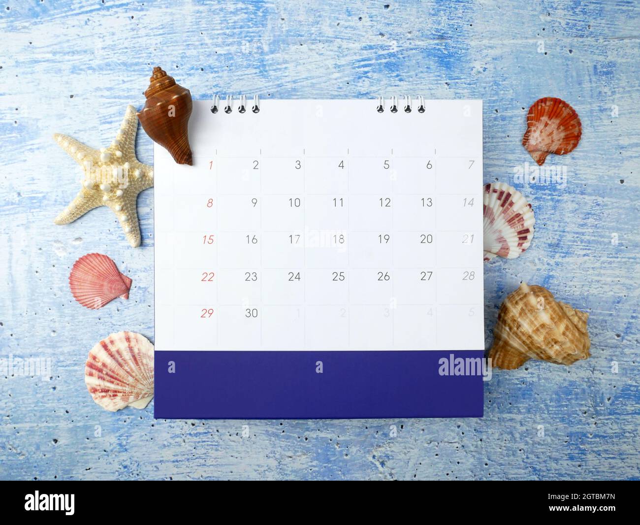 Snail calendar hi-res stock photography and images - Alamy