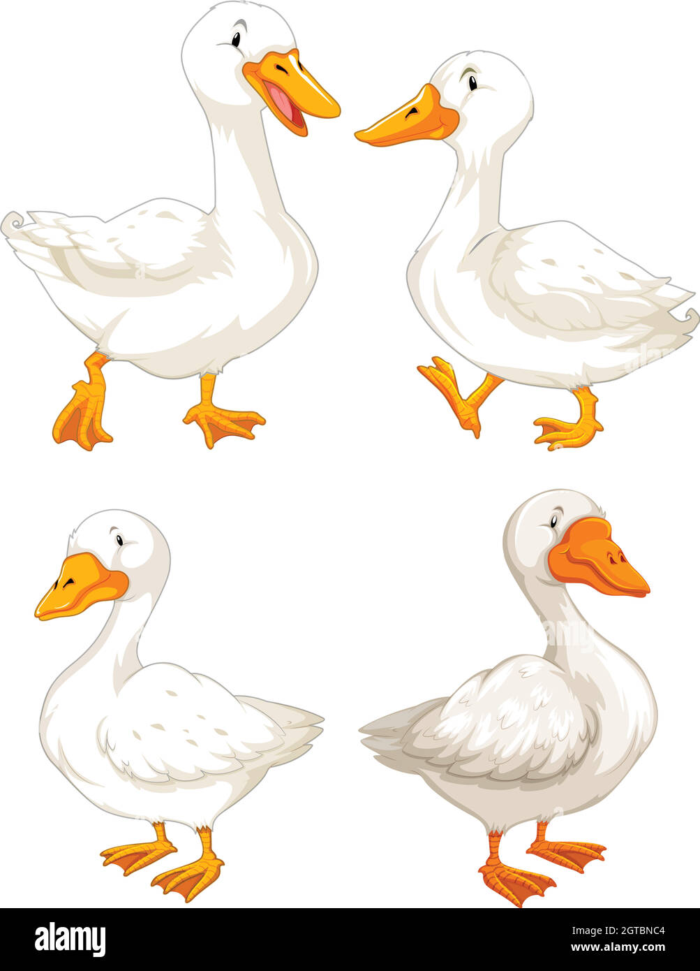 Geese walking Stock Vector Images - Alamy