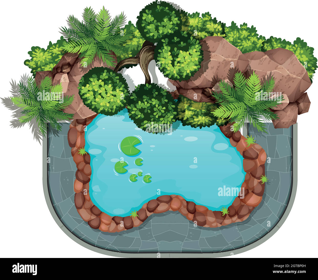Aerial pond nature scene Stock Vector Image & Art - Alamy