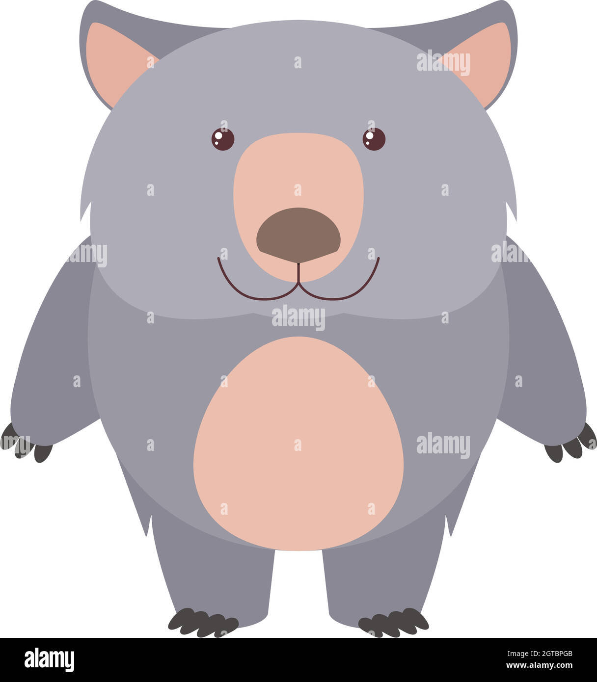 Wombat face hi-res stock photography and images - Alamy