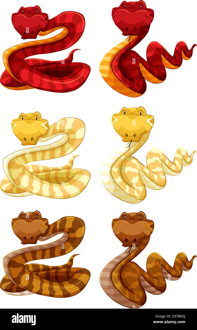 Endangered Snake Stock Vector Images - Alamy