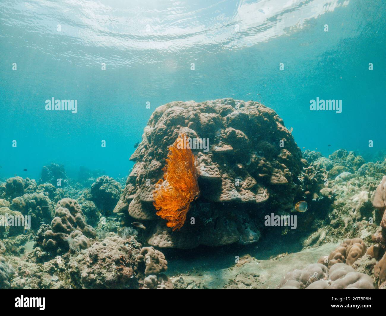 Lipah bali hi-res stock photography and images - Alamy