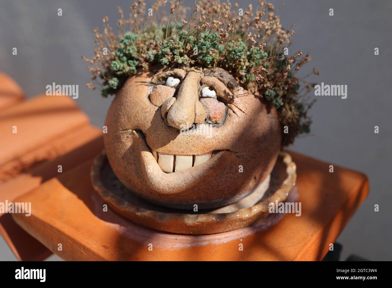 A flower pot in the form of a funny face Stock Photo - Alamy