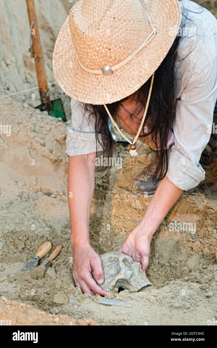Prehistoric archaeologist hi-res stock photography and images - Alamy