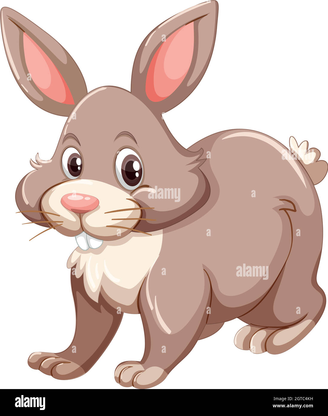 Rabbin hi-res stock photography and images - Alamy