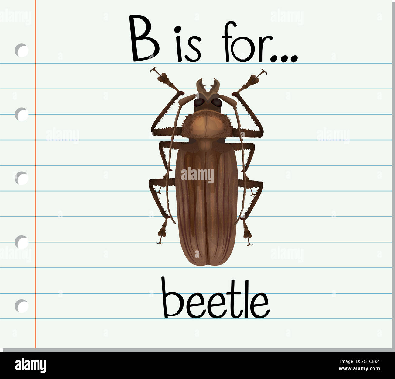 Flashcard letter B is for beetle Stock Vector Image & Art - Alamy