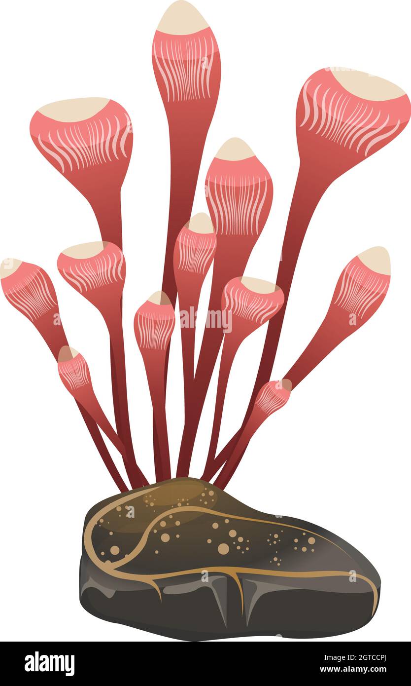 Coral, sea plant and stone. Isolated on white. Vector illustration ...