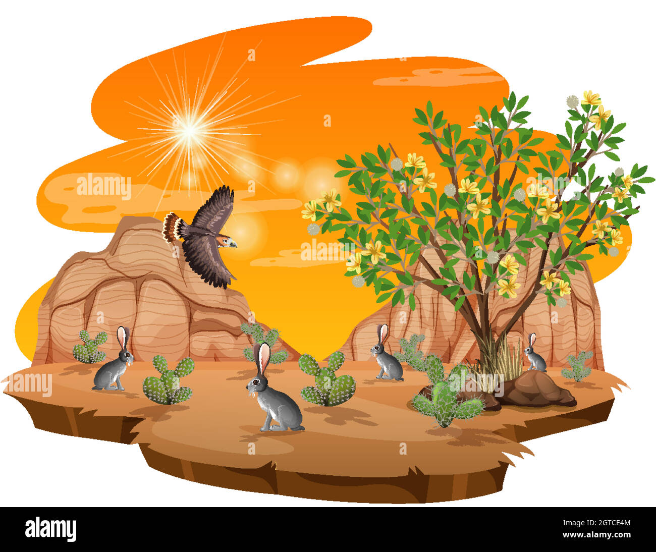 Creosote Bush plant in wild desert on white background Stock Vector ...