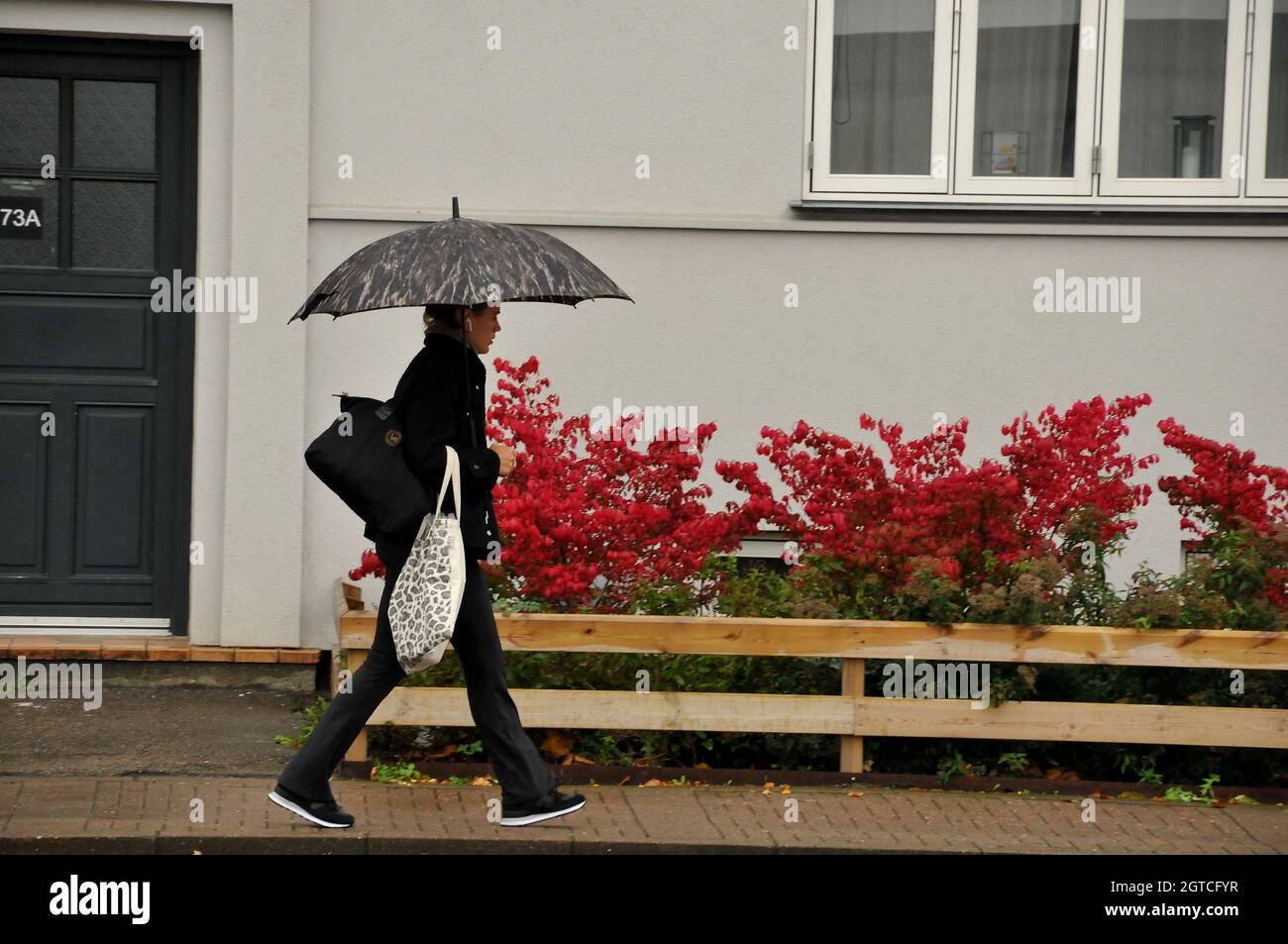 Copenhagen, Denmark.,02 October 2021/Rain grey wether day in danish ...