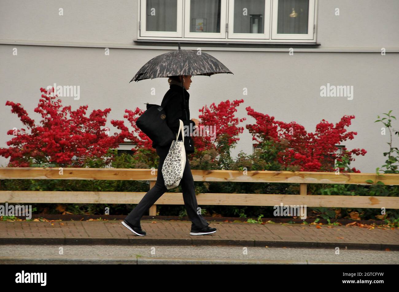 Copenhagen, Denmark.,02 October 2021/Rain grey wether day in danish ...