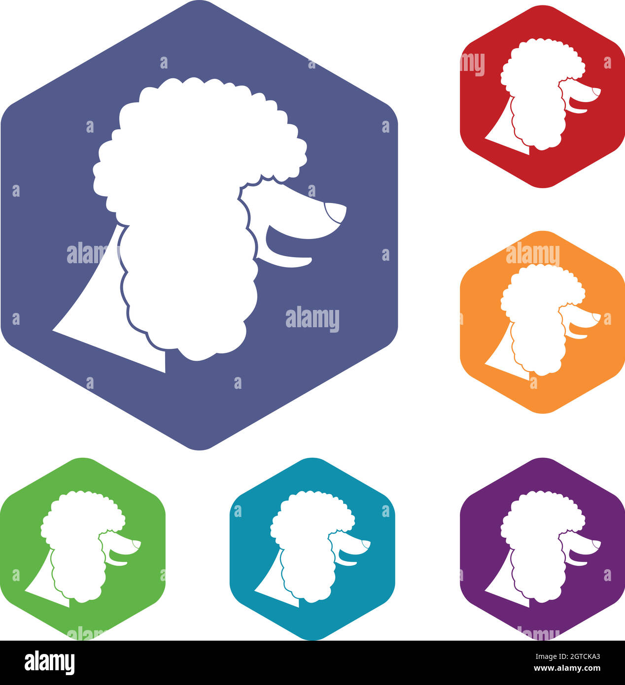 Guard dog poodle Stock Vector Images - Alamy