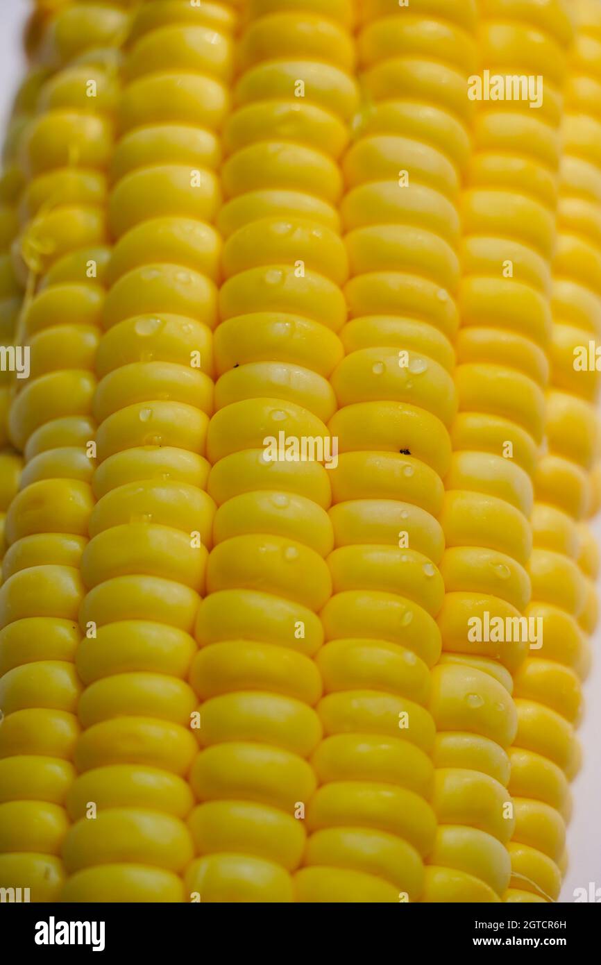 Sweet corn maize hi-res stock photography and images - Alamy