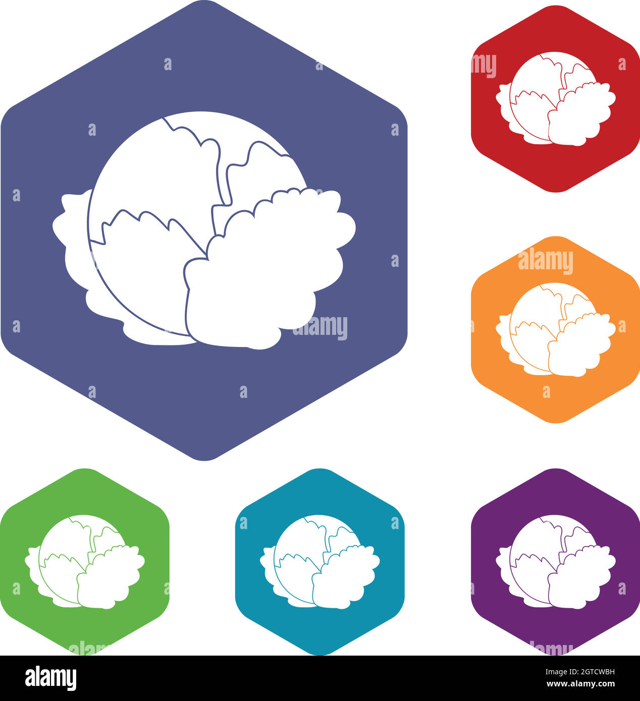 Cabbage vegetable Stock Vector Images - Alamy