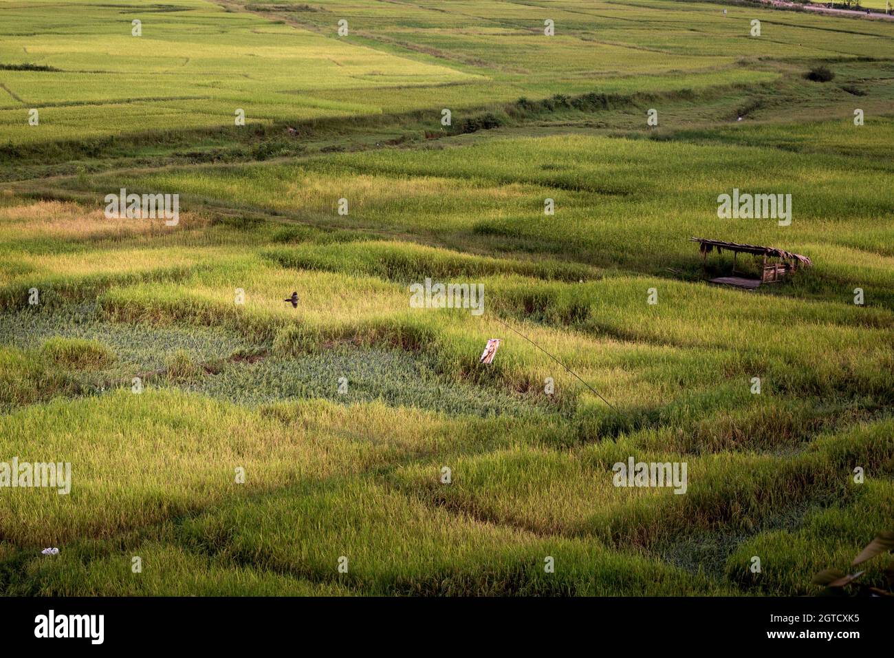 Putao myanmar landscape hi-res stock photography and images - Alamy