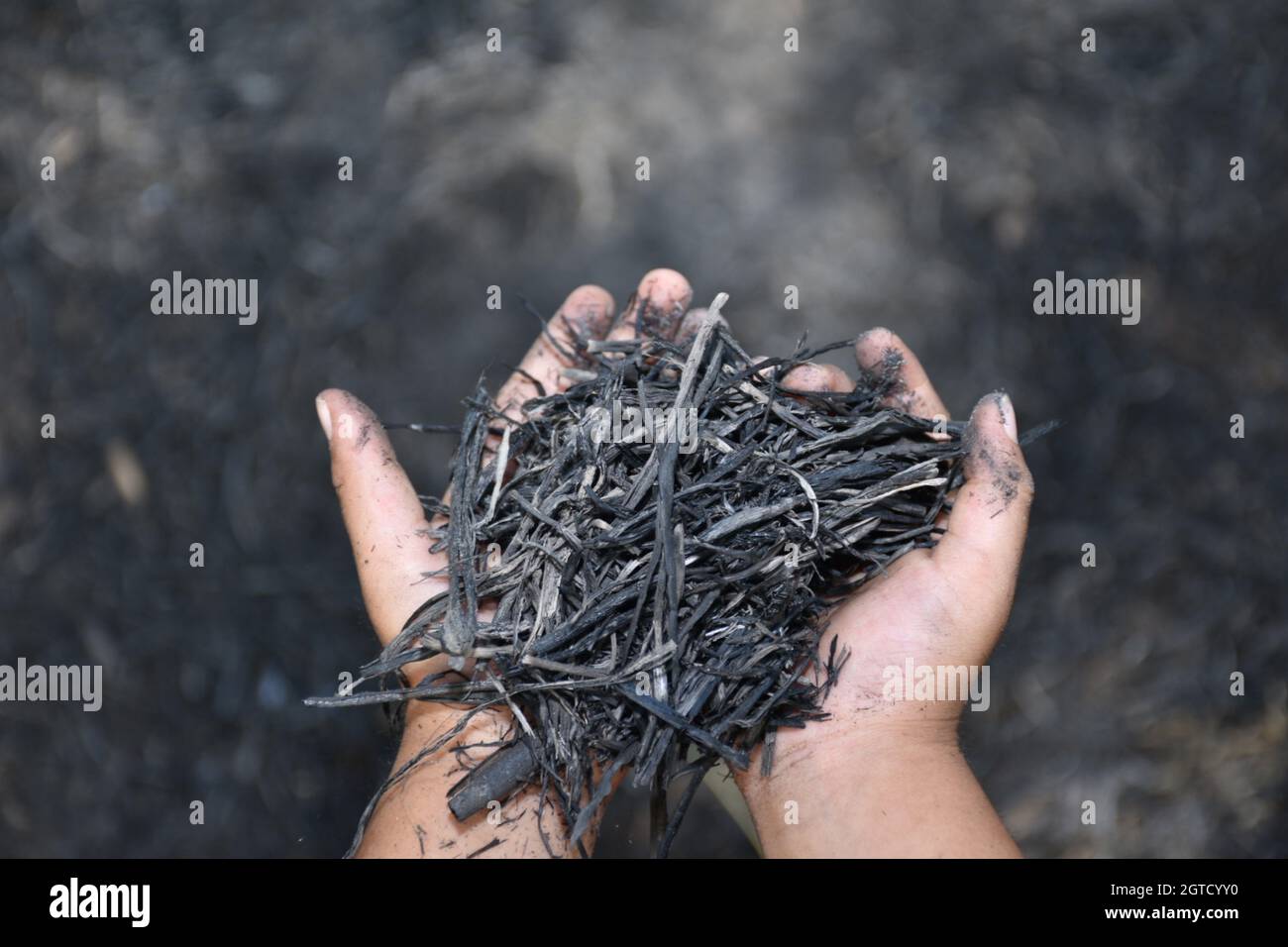 Dust Rice High Resolution Stock Photography and Images - Alamy