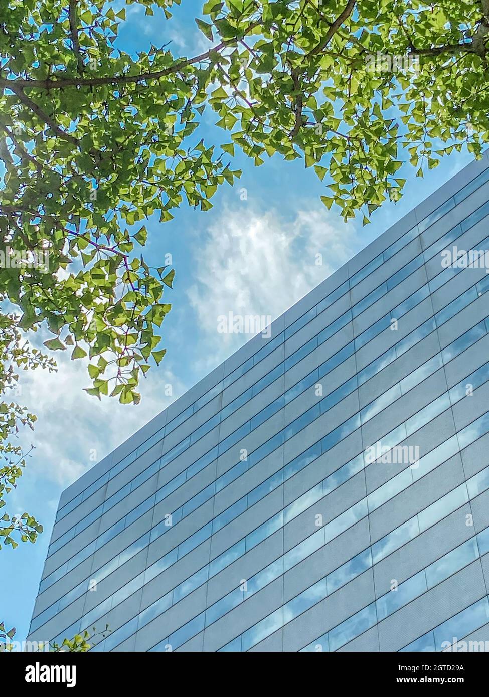 Tall office building in blue sky background Stock Photo - Alamy