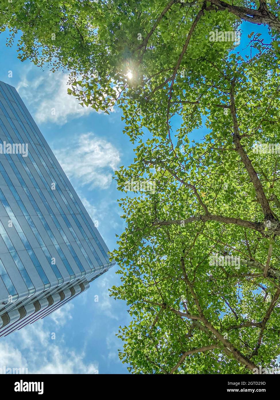 Tall office building in blue sky background Stock Photo - Alamy