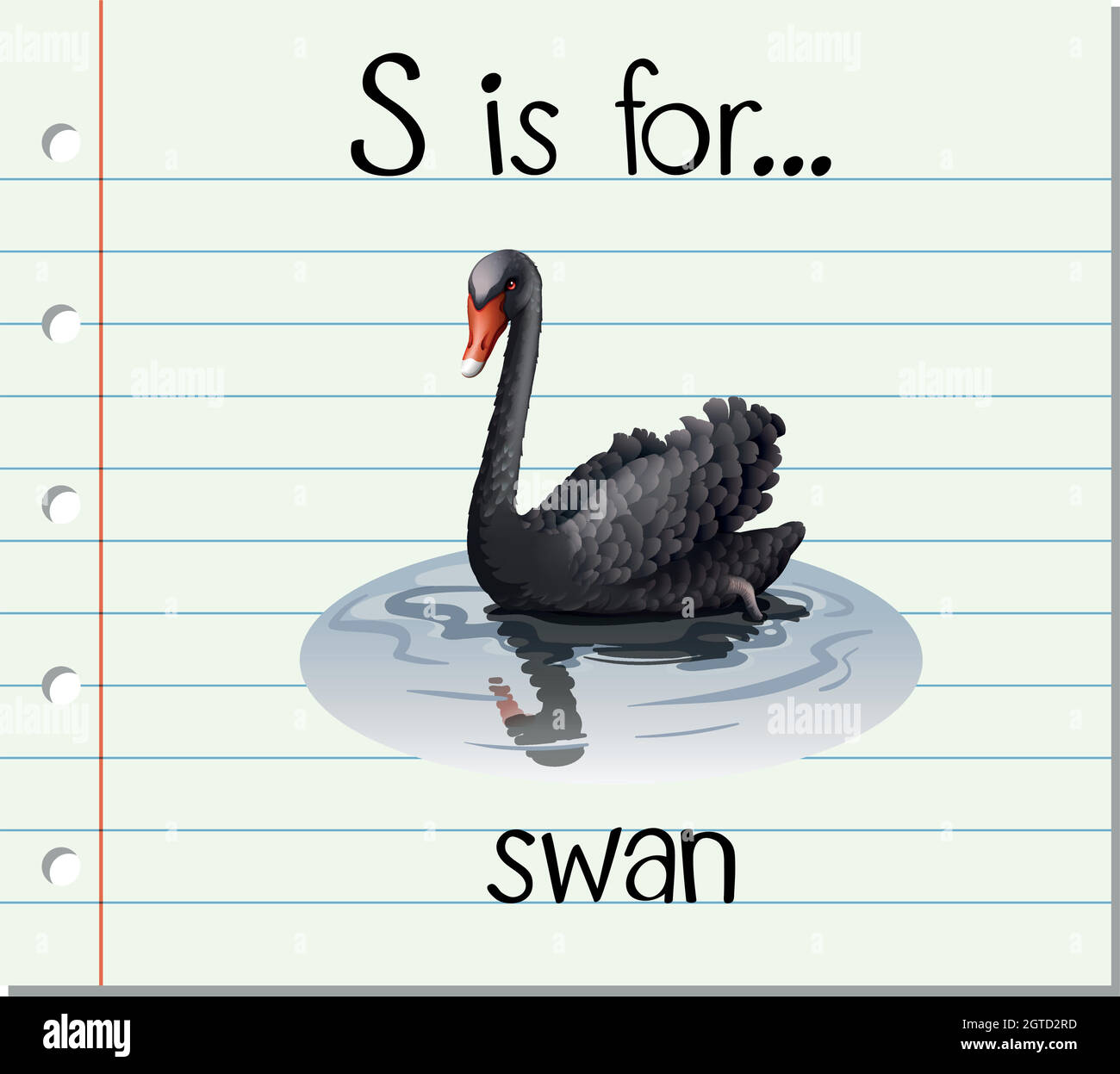 Flashcard letter S is for swan Stock Vector Image & Art - Alamy
