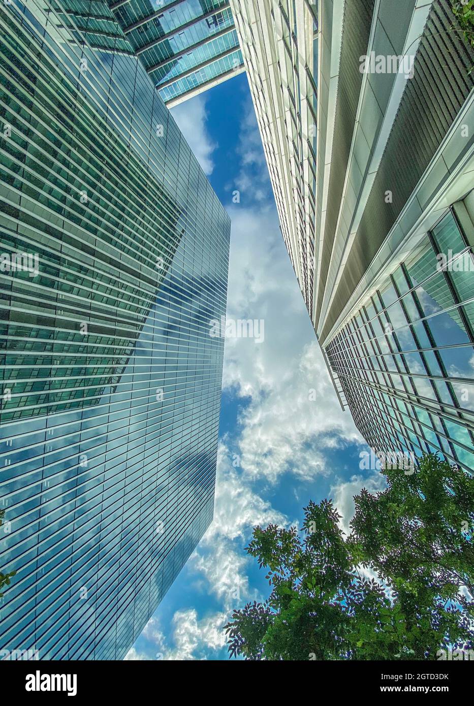 Tall office building in blue sky background Stock Photo - Alamy