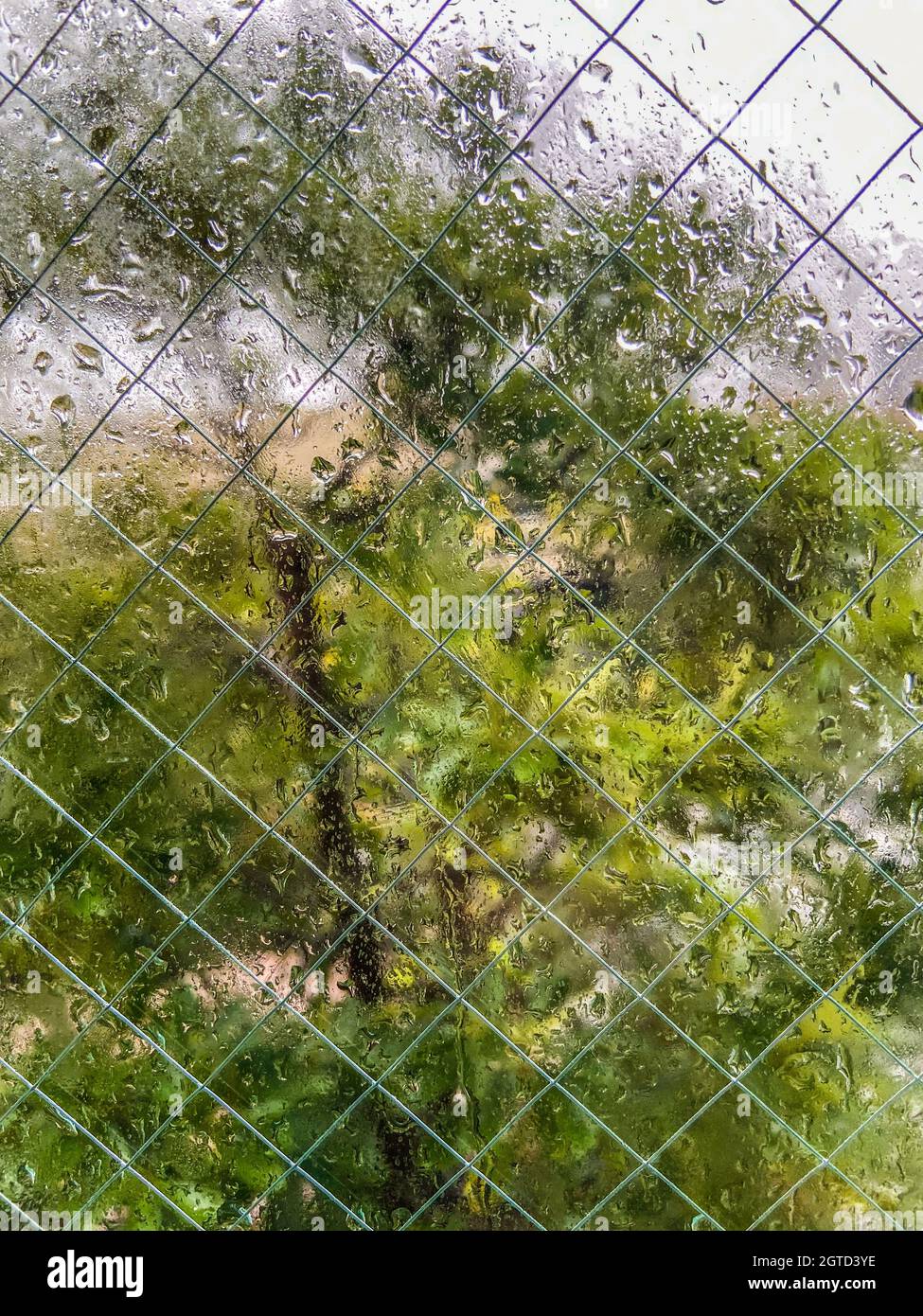 Texture of rain drops on glass window Stock Photo - Alamy