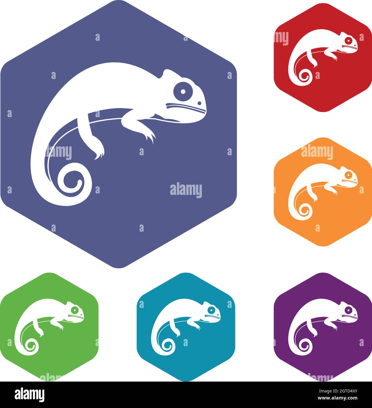 Chameleon icons set Stock Vector Image & Art - Alamy