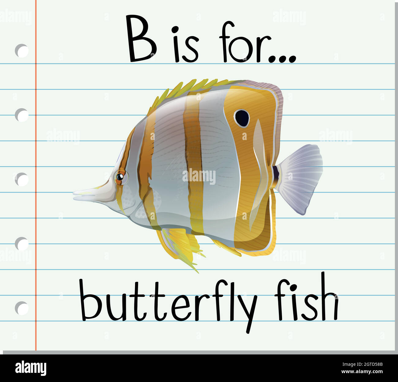 Flashcard letter B is for butterfly fish Stock Vector Image & Art - Alamy