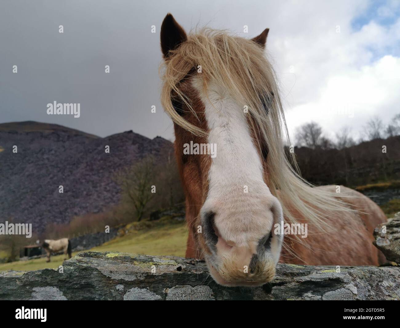 Quarry Backdrop High Resolution Stock Photography and Images - Alamy