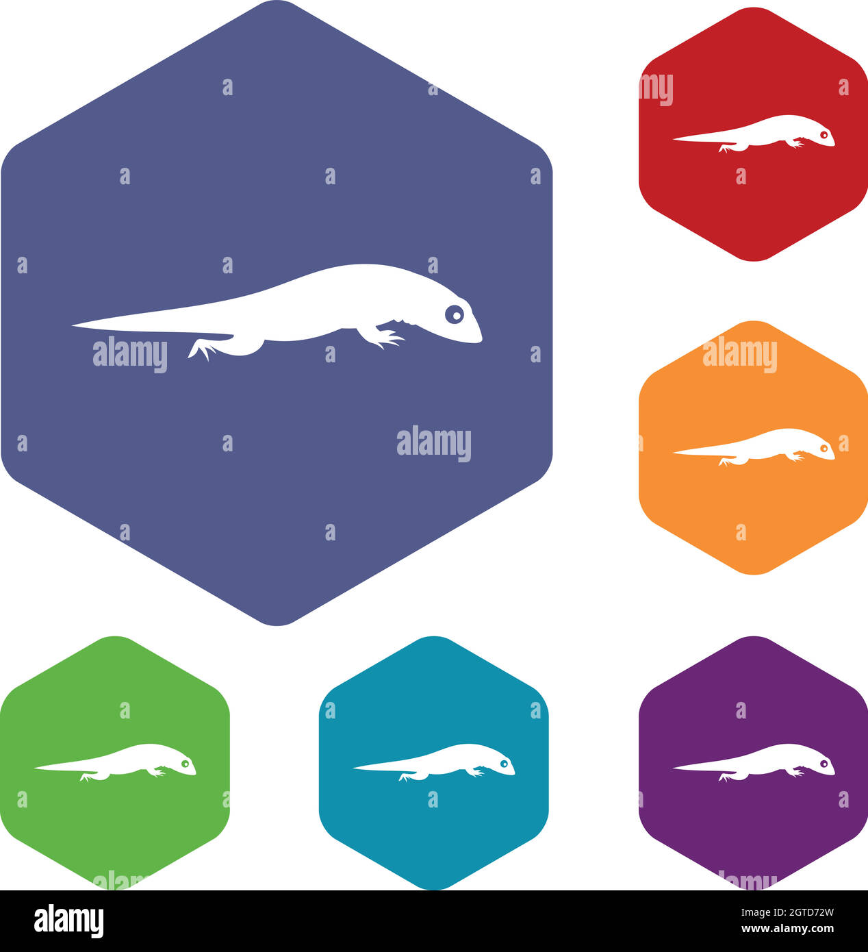 Lizard icons set Stock Vector Image & Art - Alamy