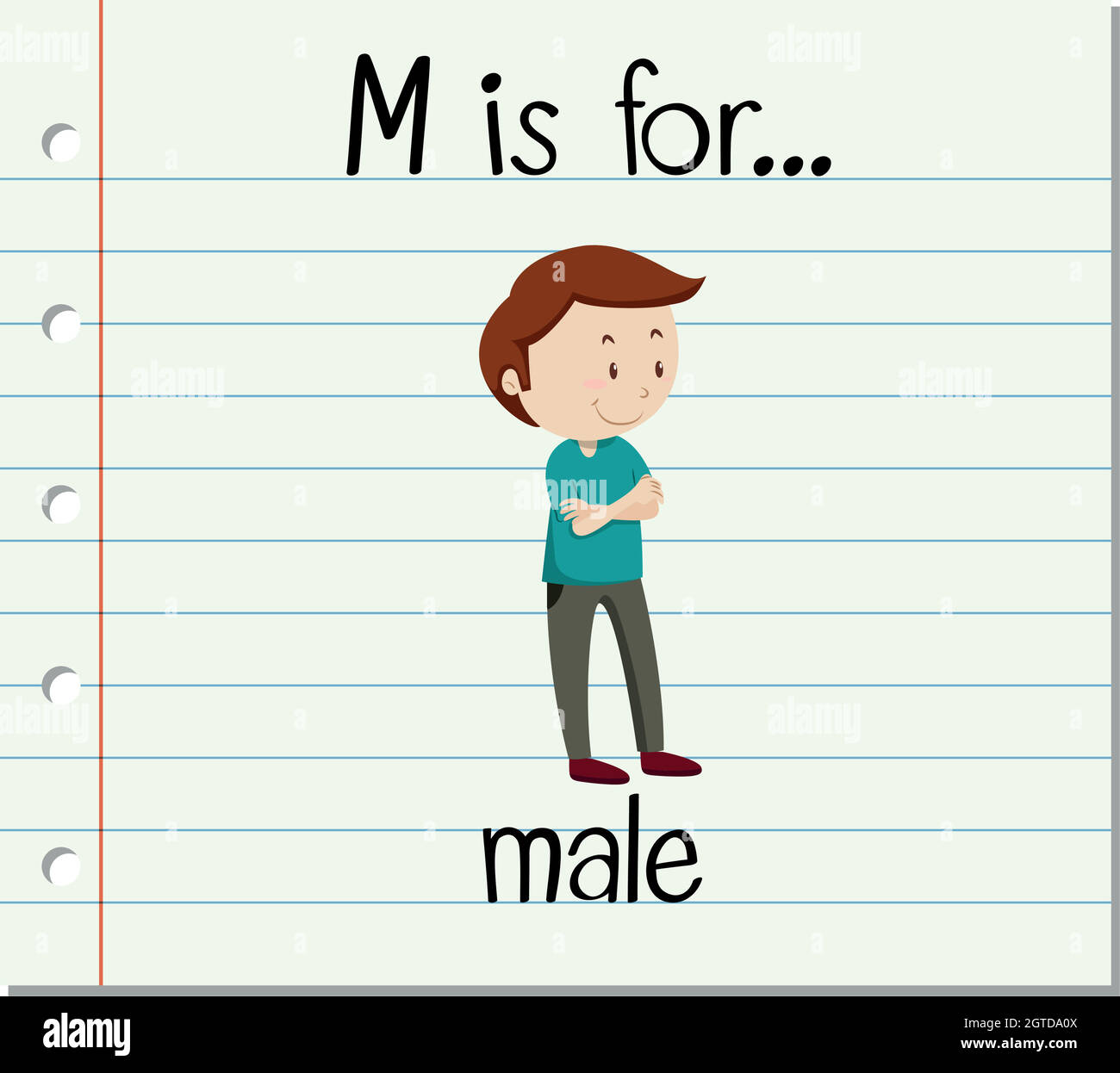 Flashcard letter M is for male Stock Vector Image & Art - Alamy
