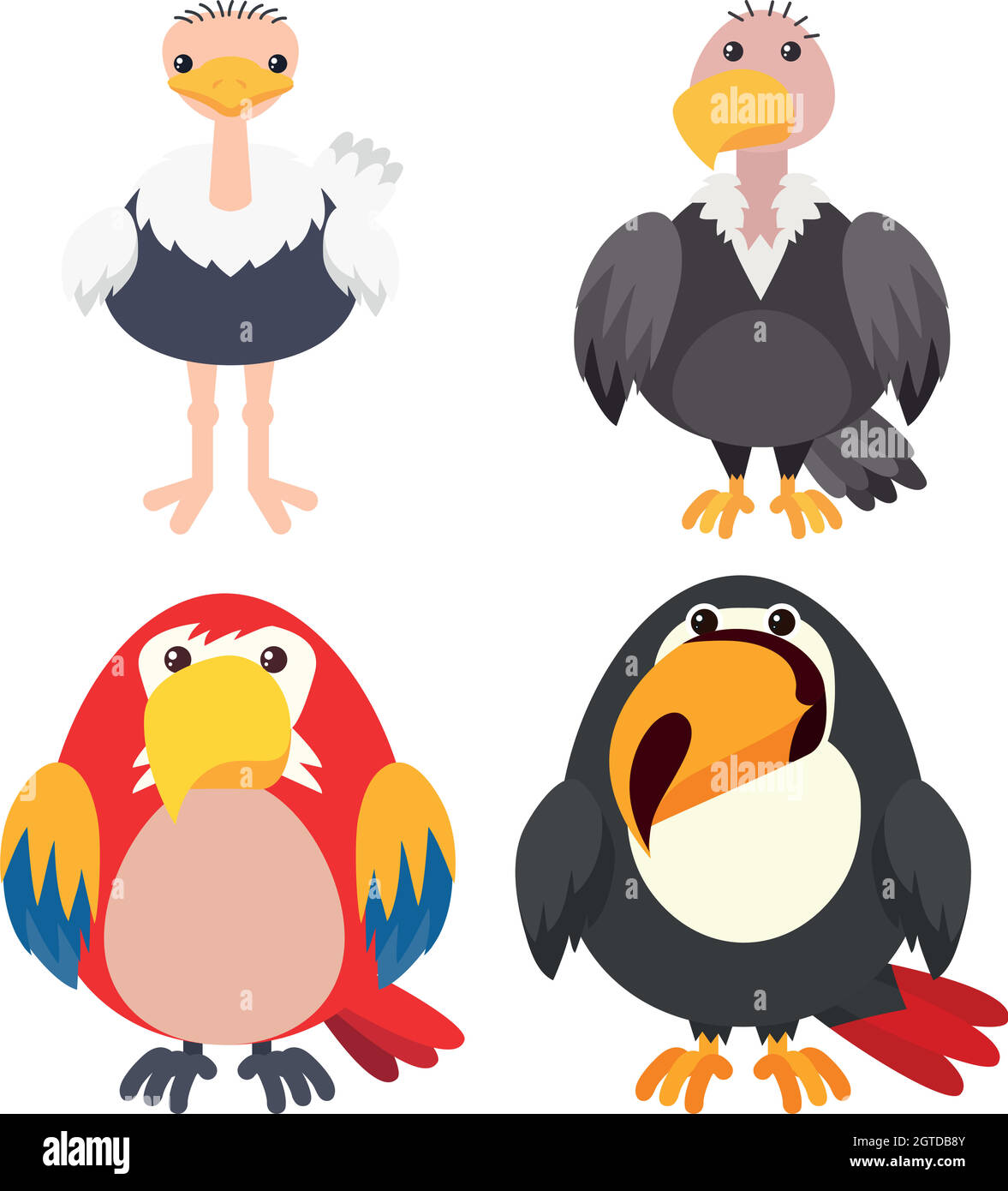 Four types of birds on white background Stock Vector Image & Art - Alamy