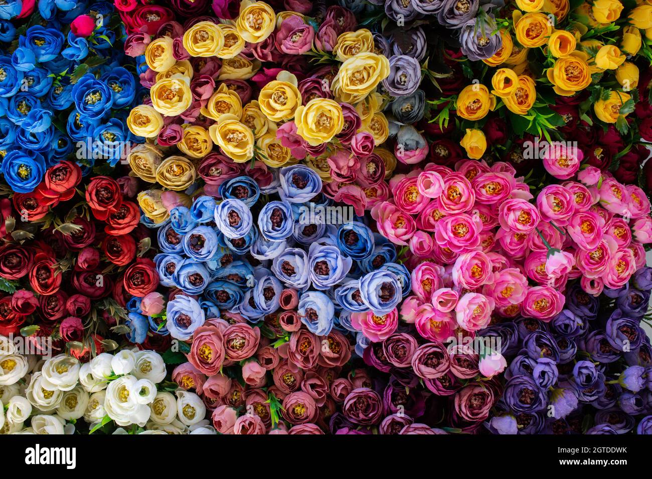 Arranged in groups hi-res stock photography and images - Alamy