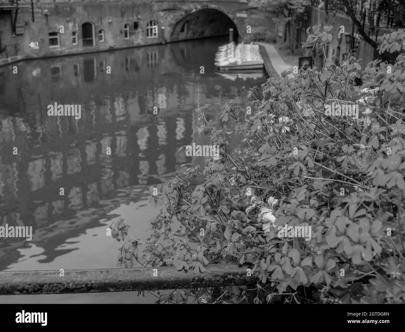 Utecht in the Netherlands Stock Photo - Alamy