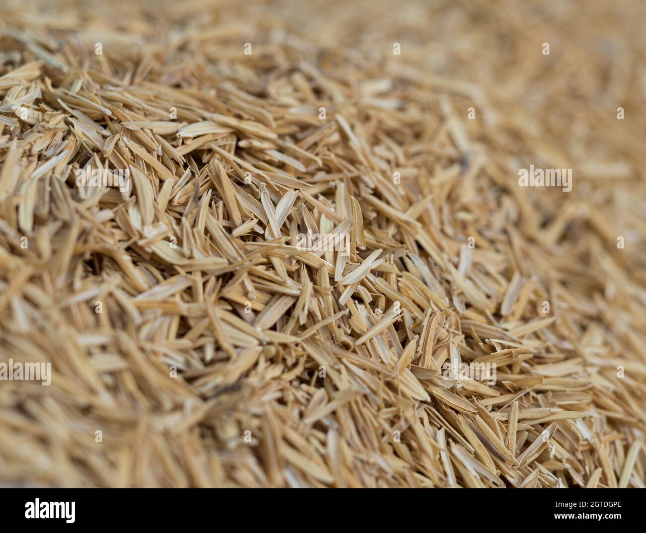 Rice husk hi-res stock photography and images - Alamy