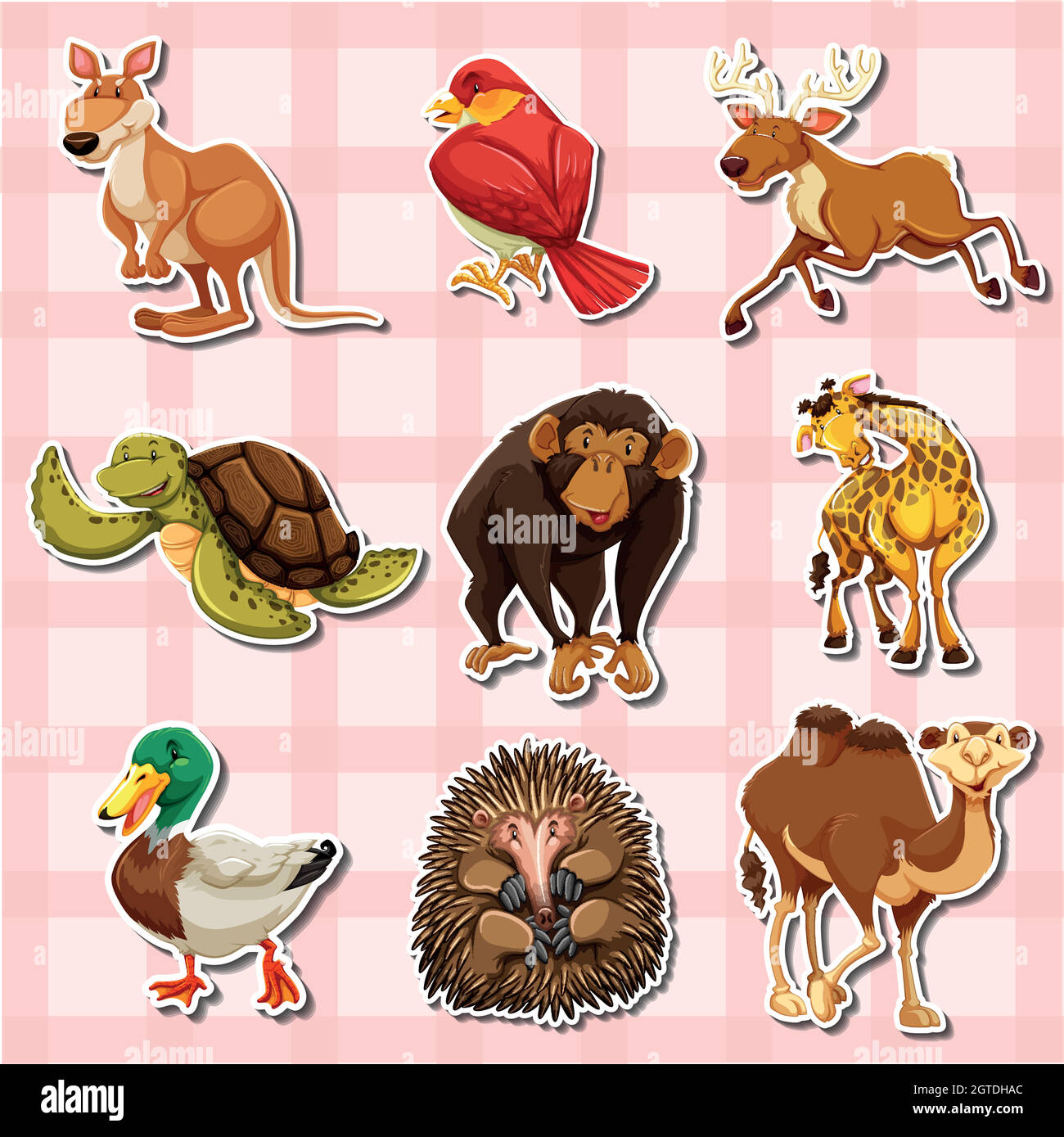 Different Types Of Animals