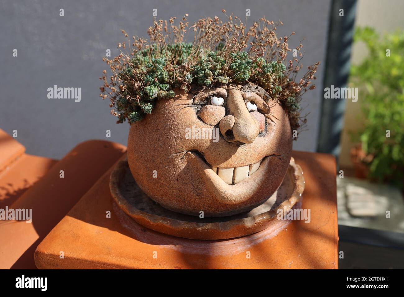 A flower pot in the form of a funny face Stock Photo - Alamy