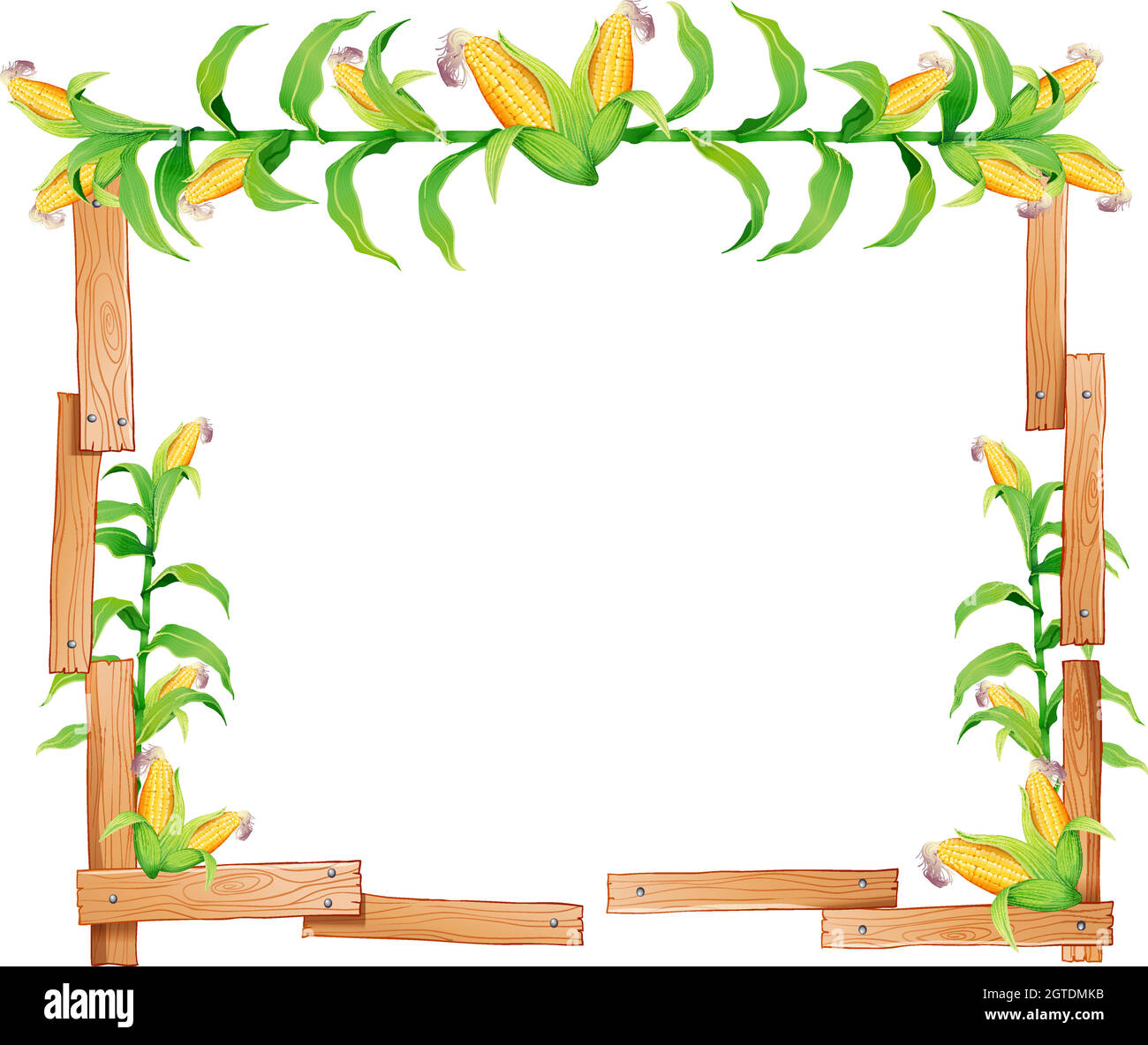 Border design with fresh corn Stock Vector Image & Art - Alamy