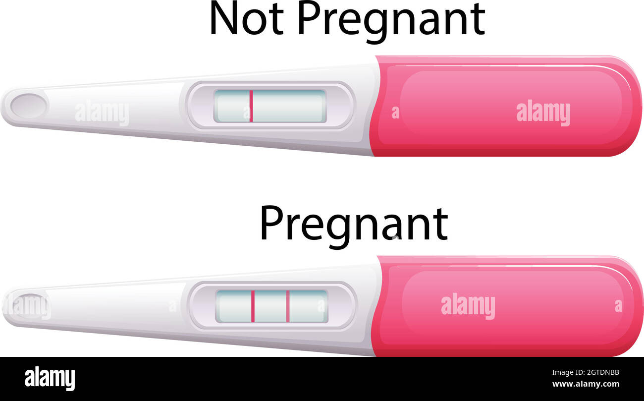 Medical drawing pregnancy Cut Out Stock Images & Pictures - Alamy