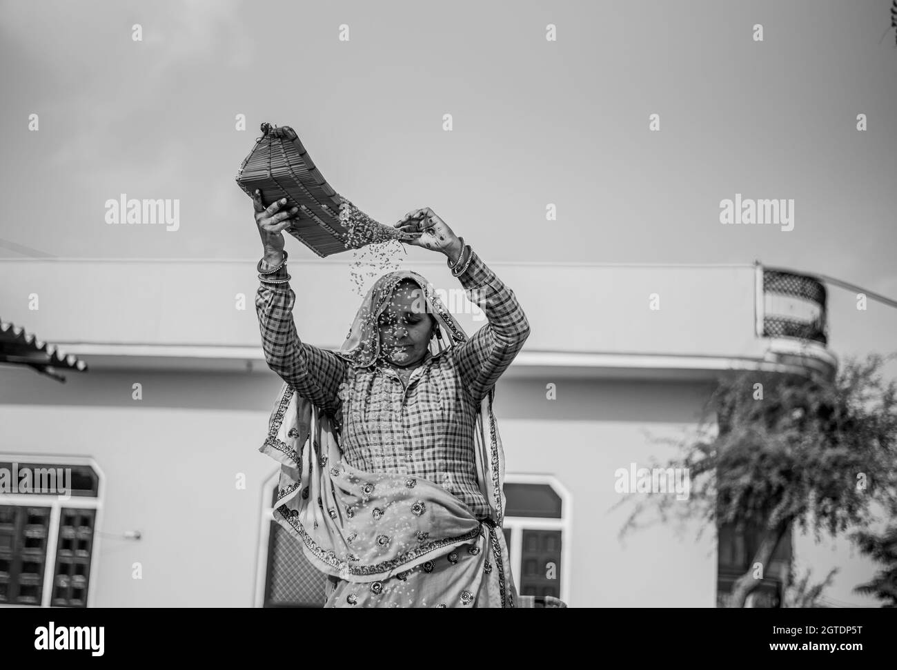 Indian coney hi-res stock photography and images - Alamy