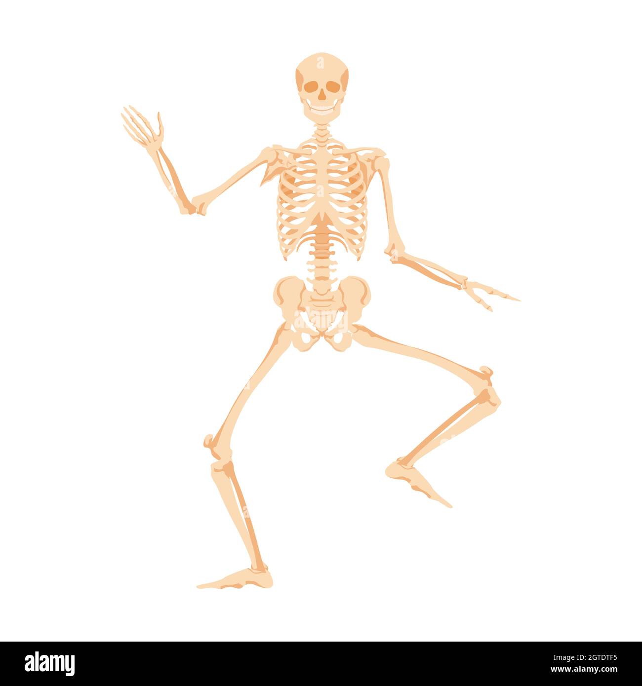 Dancing human skeleton. Dead man dances in anatomical incendiary dance ...