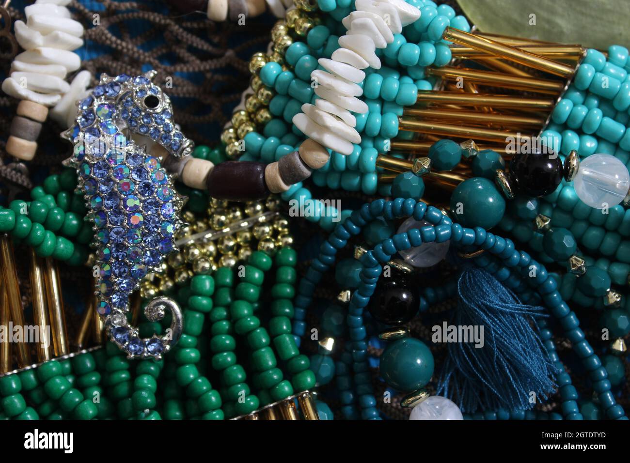 Seahorse fishing net hi-res stock photography and images - Alamy