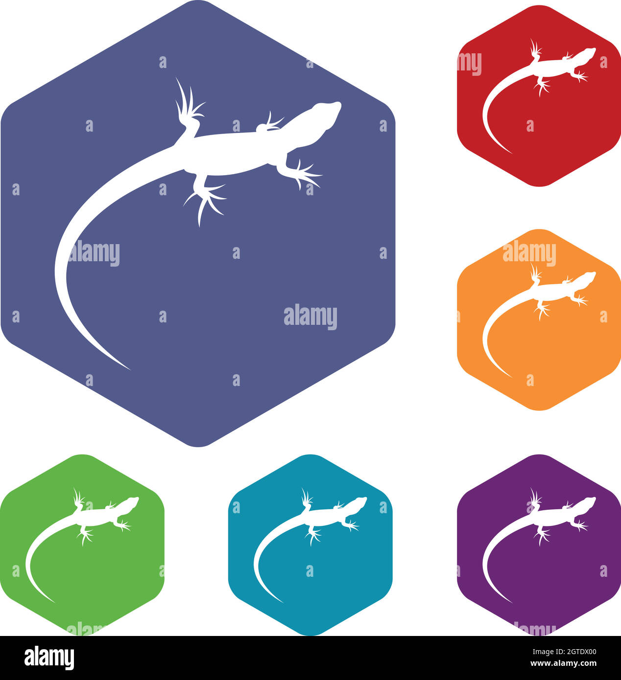 Lizard icons set Stock Vector Image & Art - Alamy