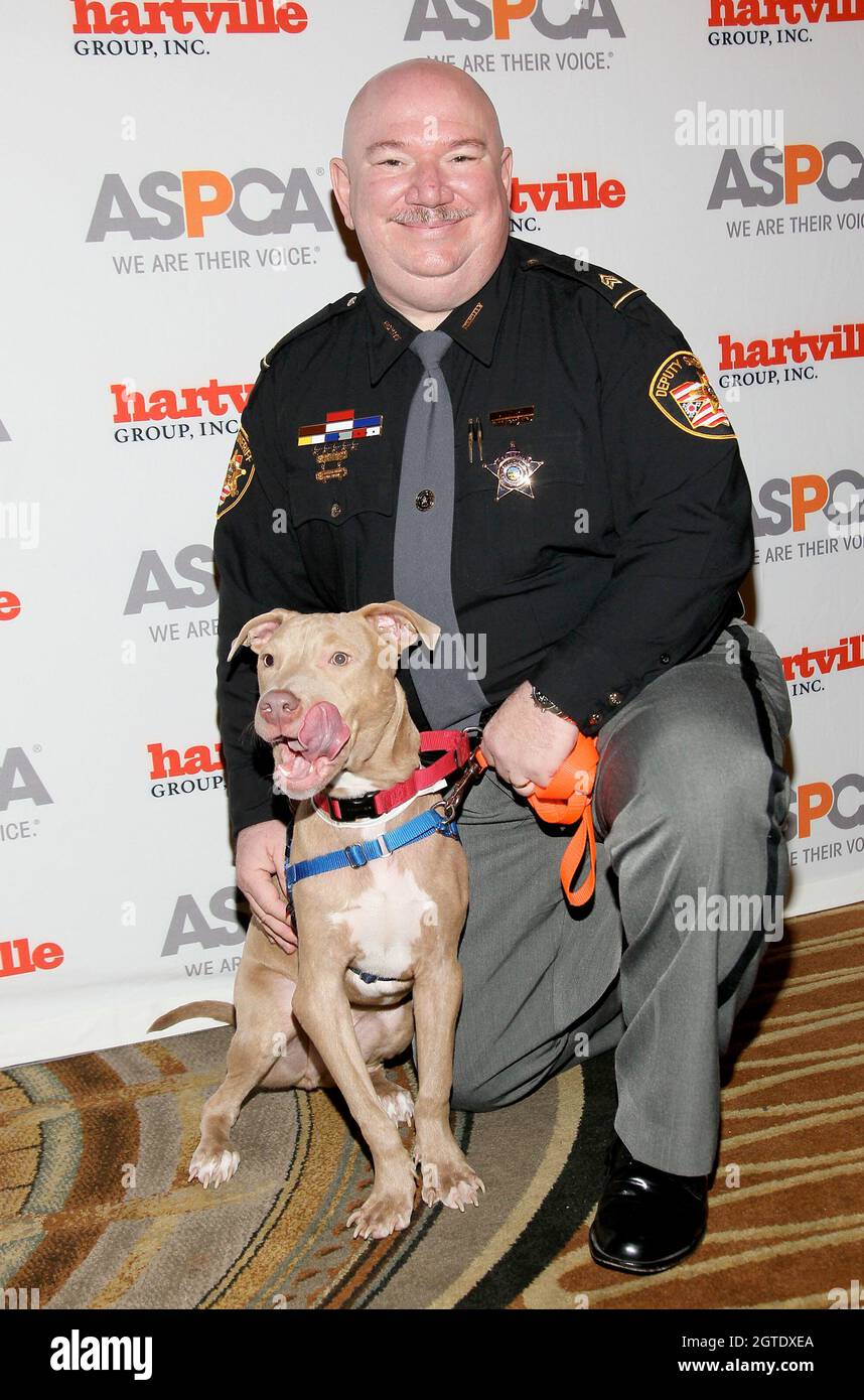 Sgt david hunt hi-res stock photography and images - Alamy