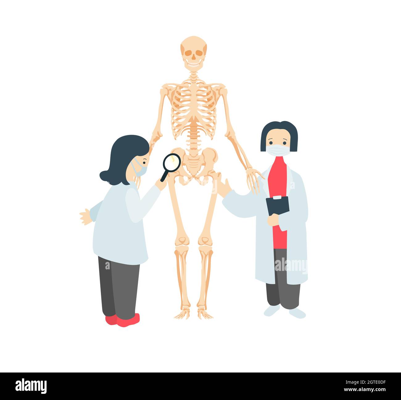 Doctors examining human skeleton. Scientists in coats examining ... Doctors examining human skeleton. Scientists in coats examining ...