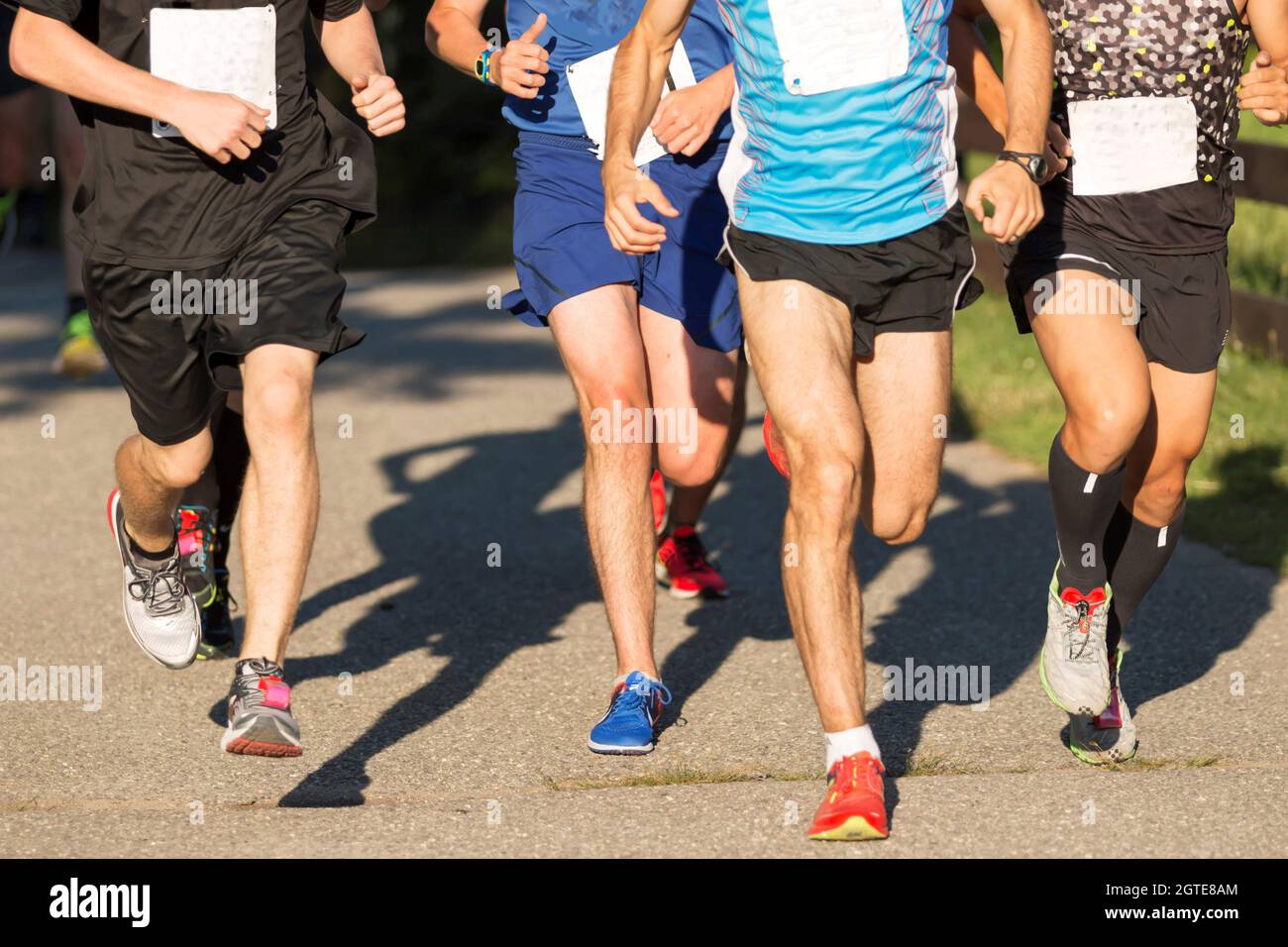 Leaders of the pack hi-res stock photography and images - Alamy