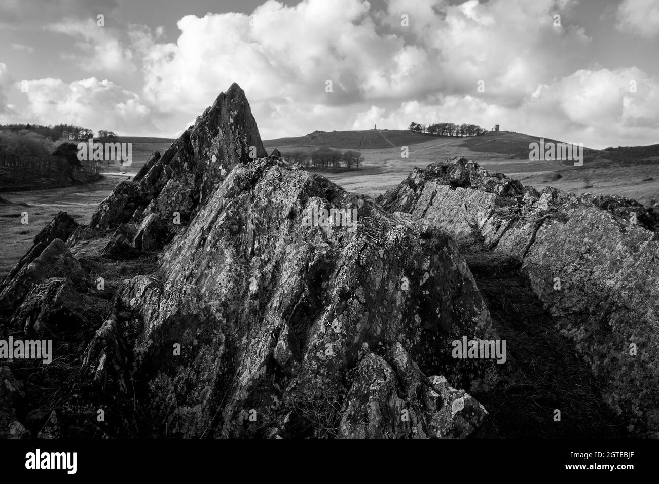 Bradgate park landscapes hi-res stock photography and images - Alamy