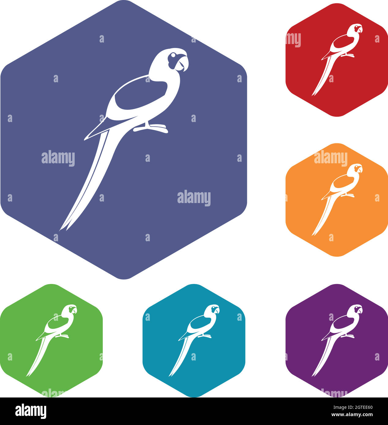 Parrot icons set Stock Vector Image & Art - Alamy