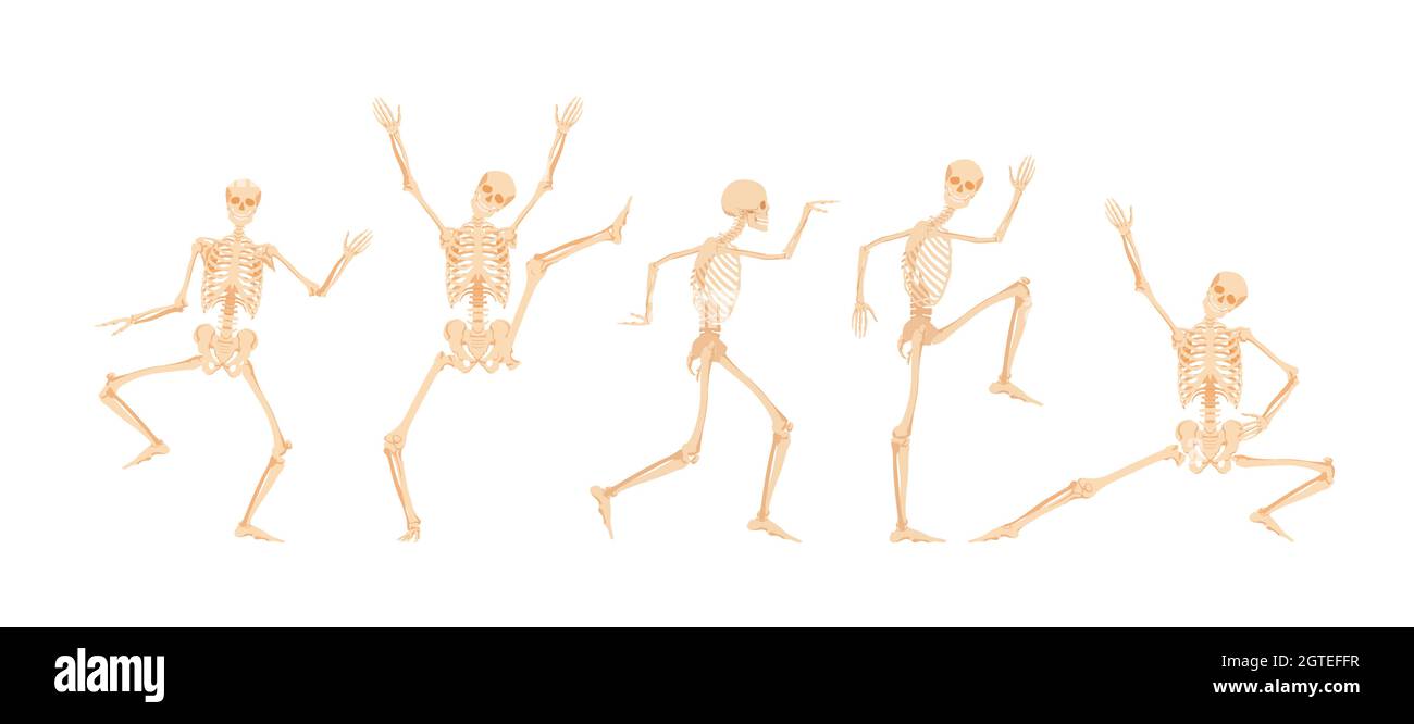 Human body skeleton jumping hi-res stock photography and images - Alamy