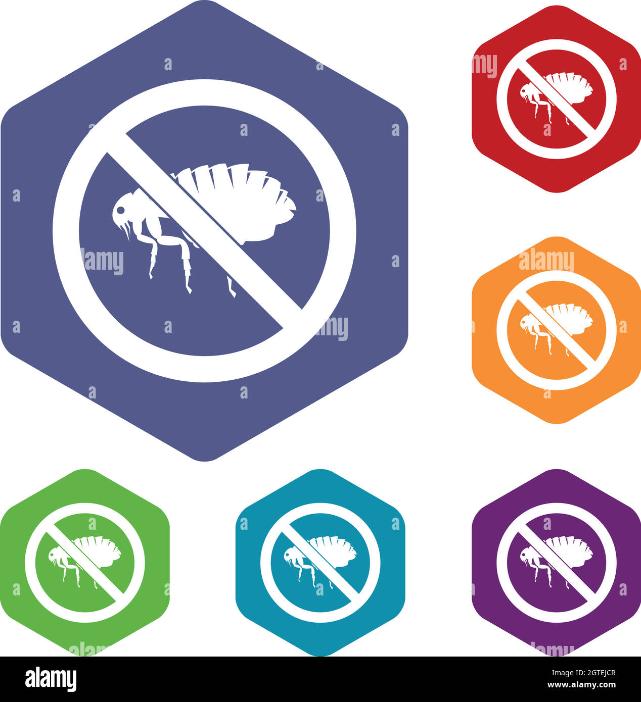 Flea control hi-res stock photography and images - Alamy