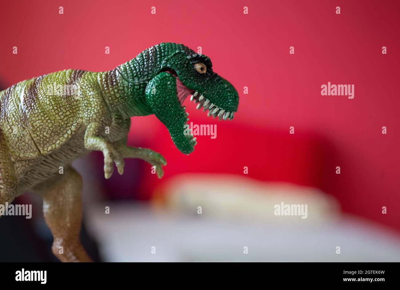 Plastic t rex hi-res stock photography and images - Alamy